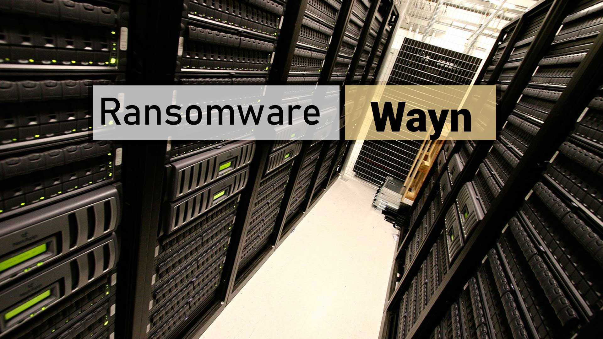 Wayn Virus (.WAYN FILE) — OUTIL DE DÉCRYPTAGE ET DE SUPPRESSION